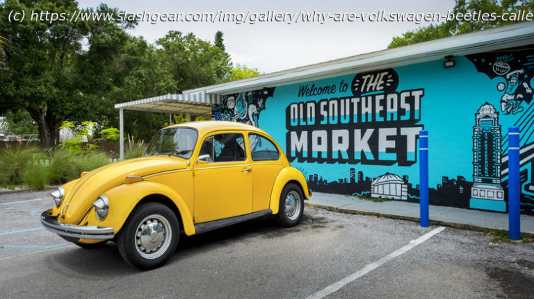 Why Are Volkswagen Beetles Called 'Slug Bugs?' | NewsHub